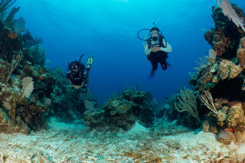 Sea Ventures Pro Dive Center | Scuba and charters in Puerto Rico